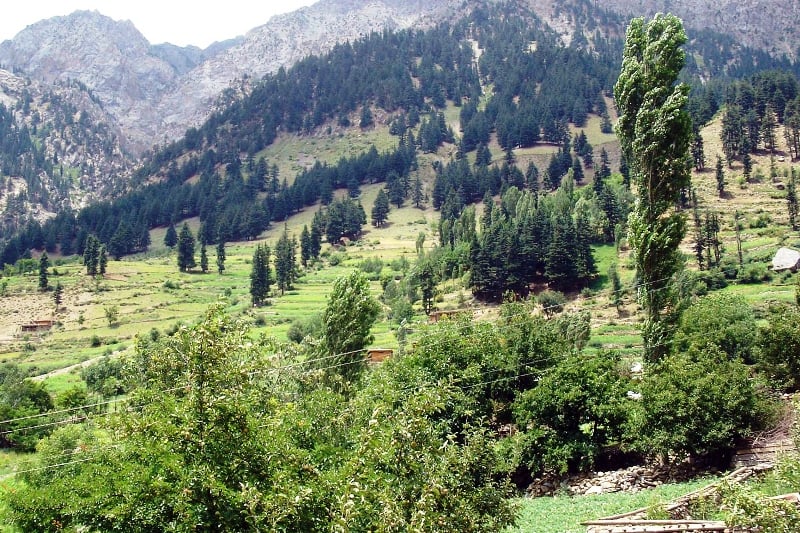 HRCP slams discriminatory ban on Ismaili Butchers Pakistan News | Umeedwar